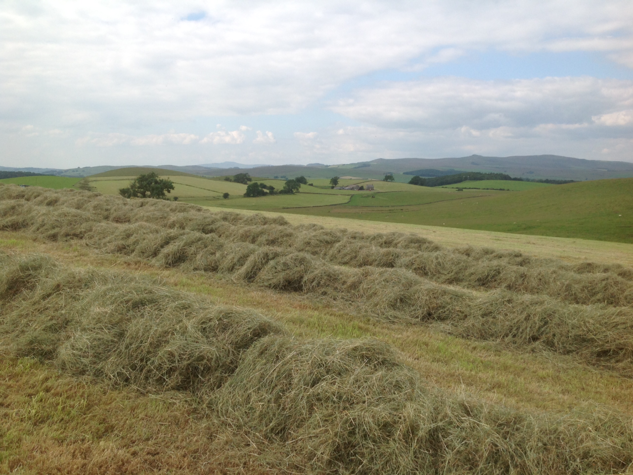 2019 Hay & Haylage Campaign Complete! - Pot Haw Farm